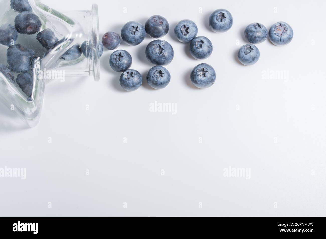 White background blueberry Stock Photo - Alamy