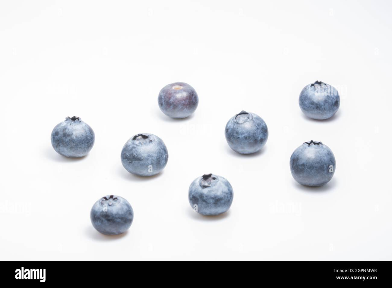 White background blueberry Stock Photo - Alamy