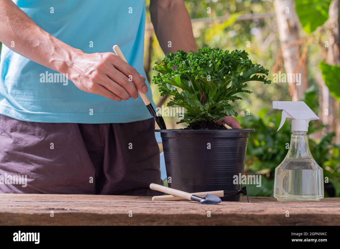 People planting trees in pots concept of love plants love environment ...