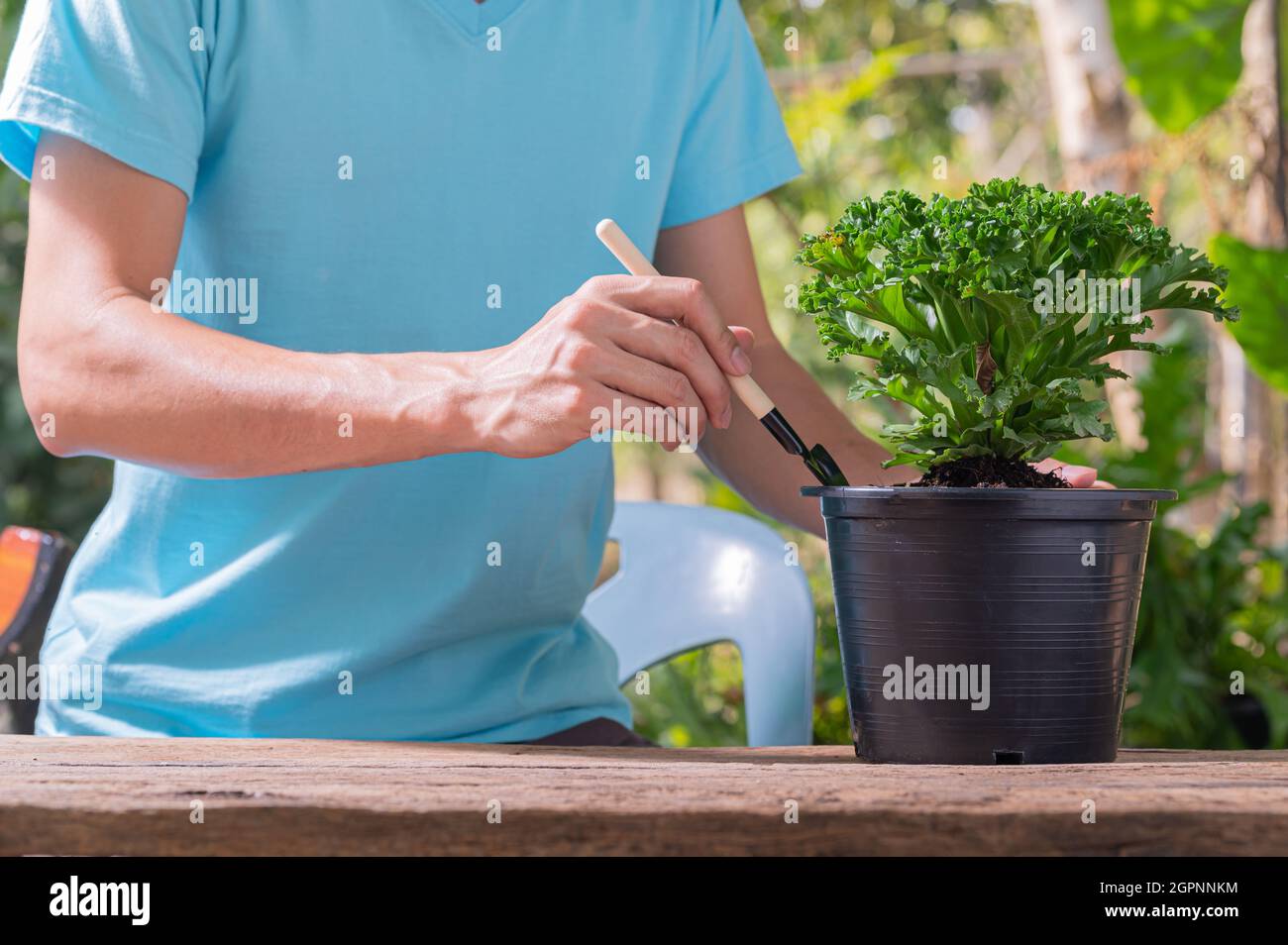 People planting trees in pots concept of love plants love environment ...