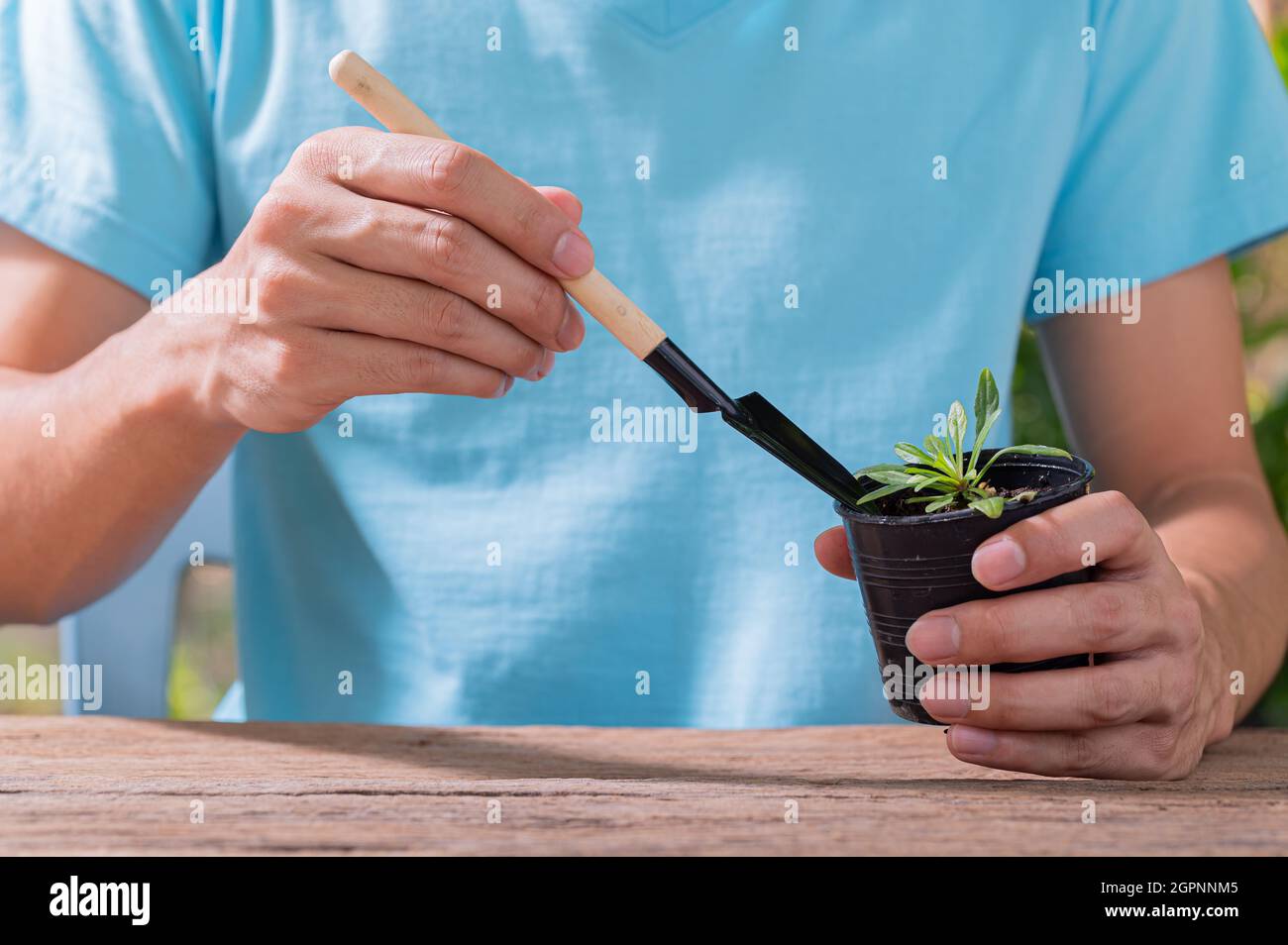 People planting trees in pots concept of love plants love environment ...