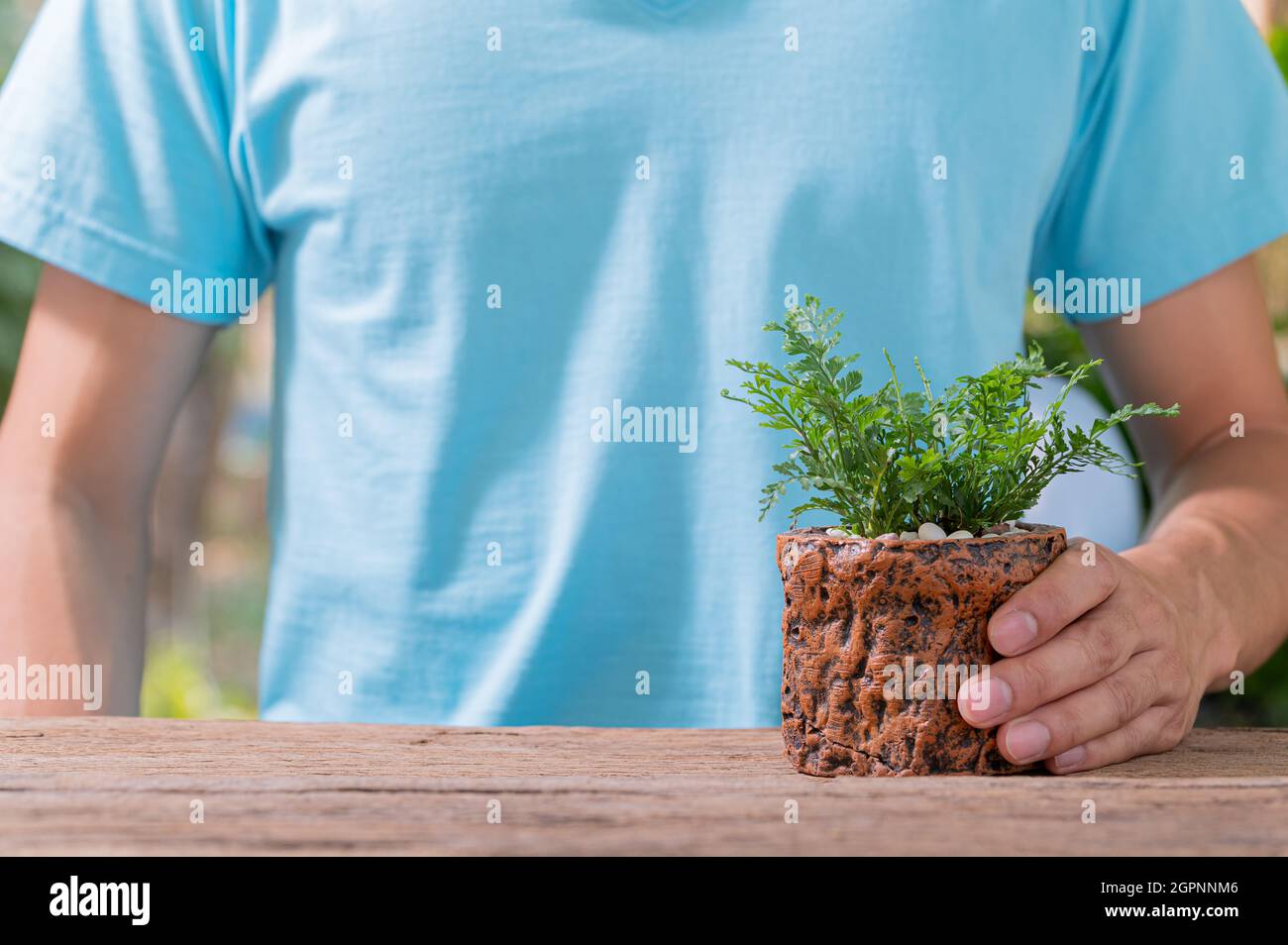 People planting trees in pots concept of love plants love environment ...