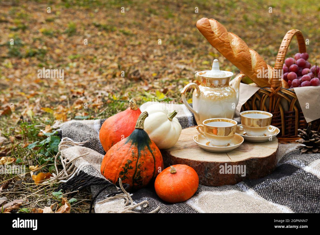 still life autumn picnic with tea, french loaf, orange pumpkins , fall leaves background Stock ...