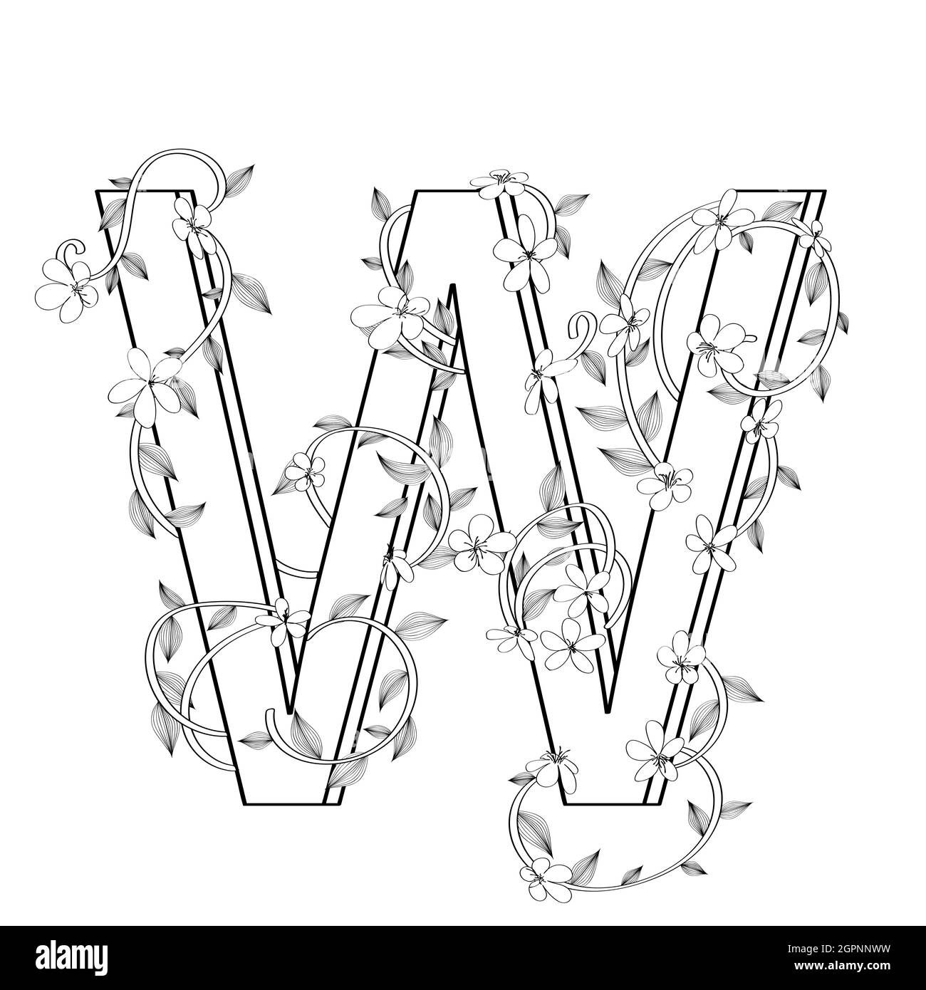 Letter w black flower alphabet Black and White Stock Photos & Images ...