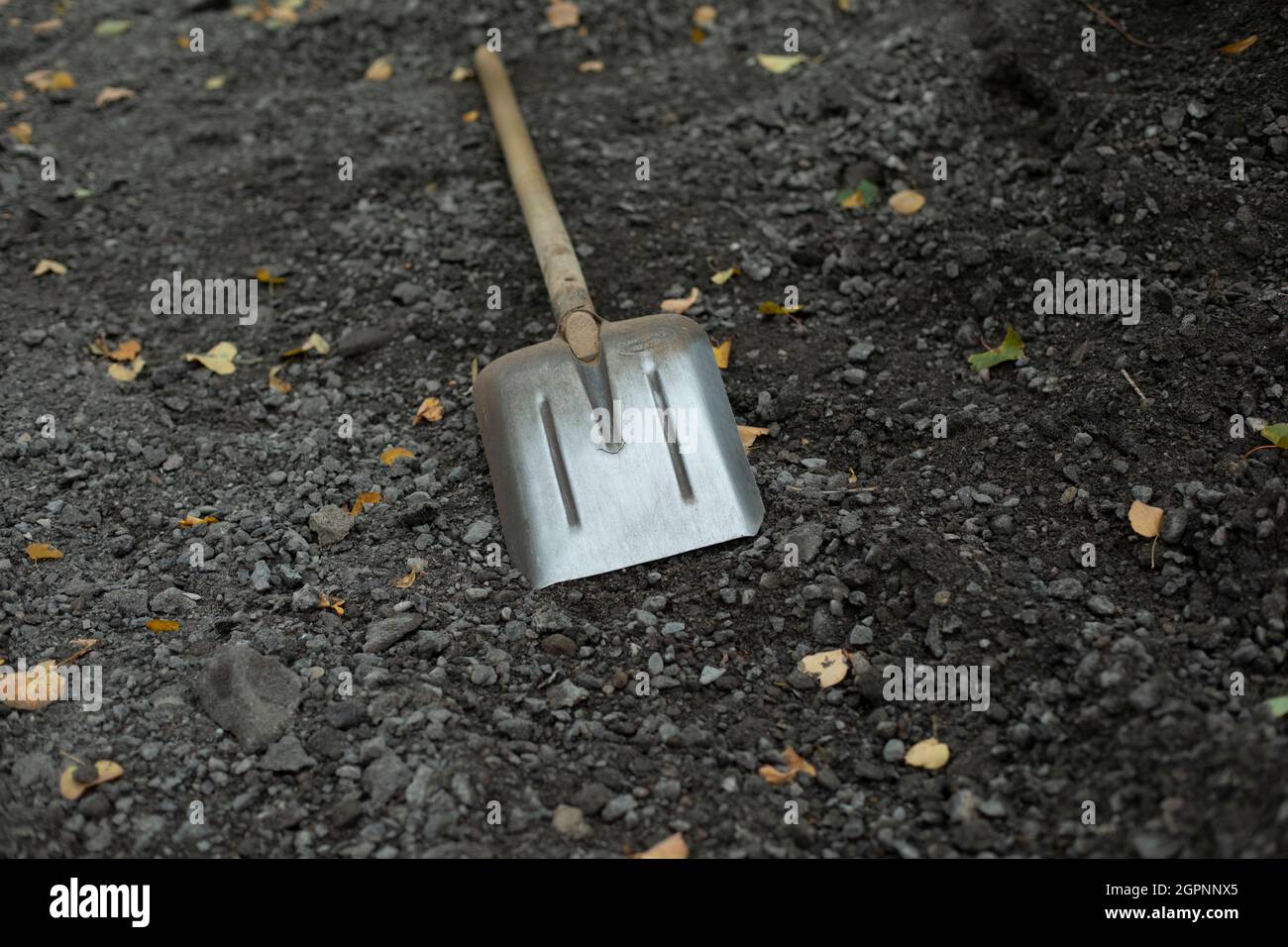 Shovel. Building instrument for bulk materials. The shovel lies on the ...