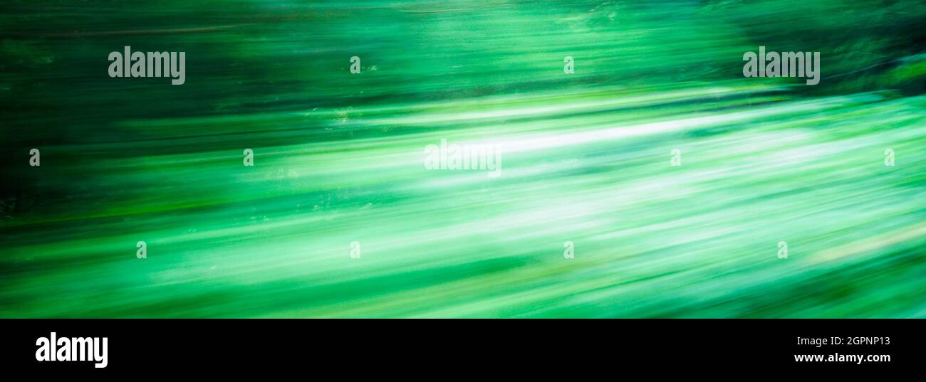 Green blurry curved lines abstract background motion blur trees banner ...
