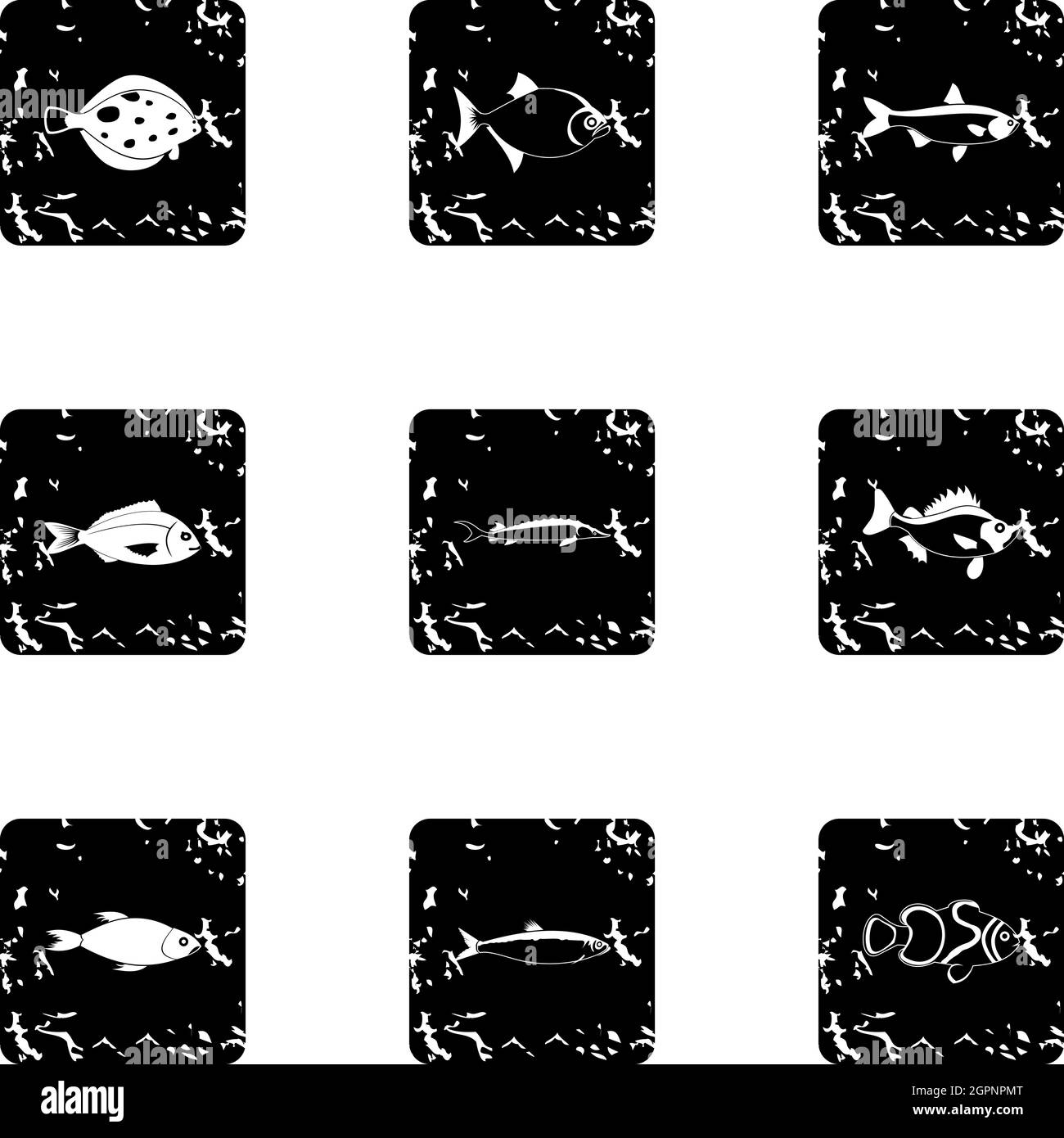 Species of fish icons set, grunge style Stock Vector Image & Art - Alamy