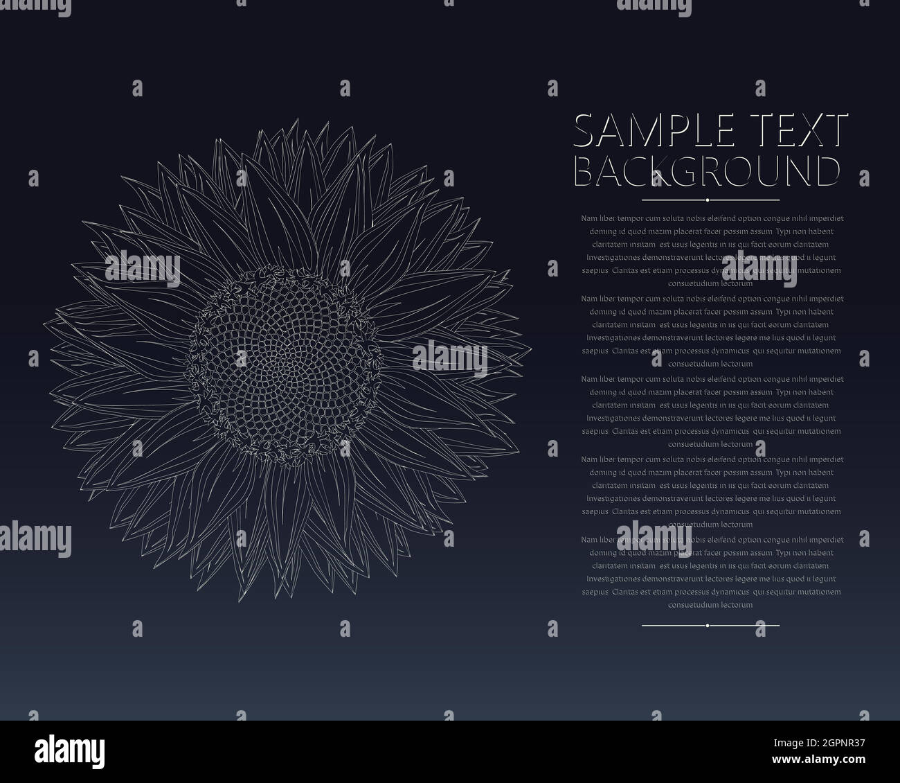 Sunflower vector card Stock Vector Image & Art - Alamy