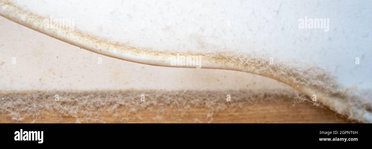 dirty dust on the electric wire in the room. real old neglected dusty ...