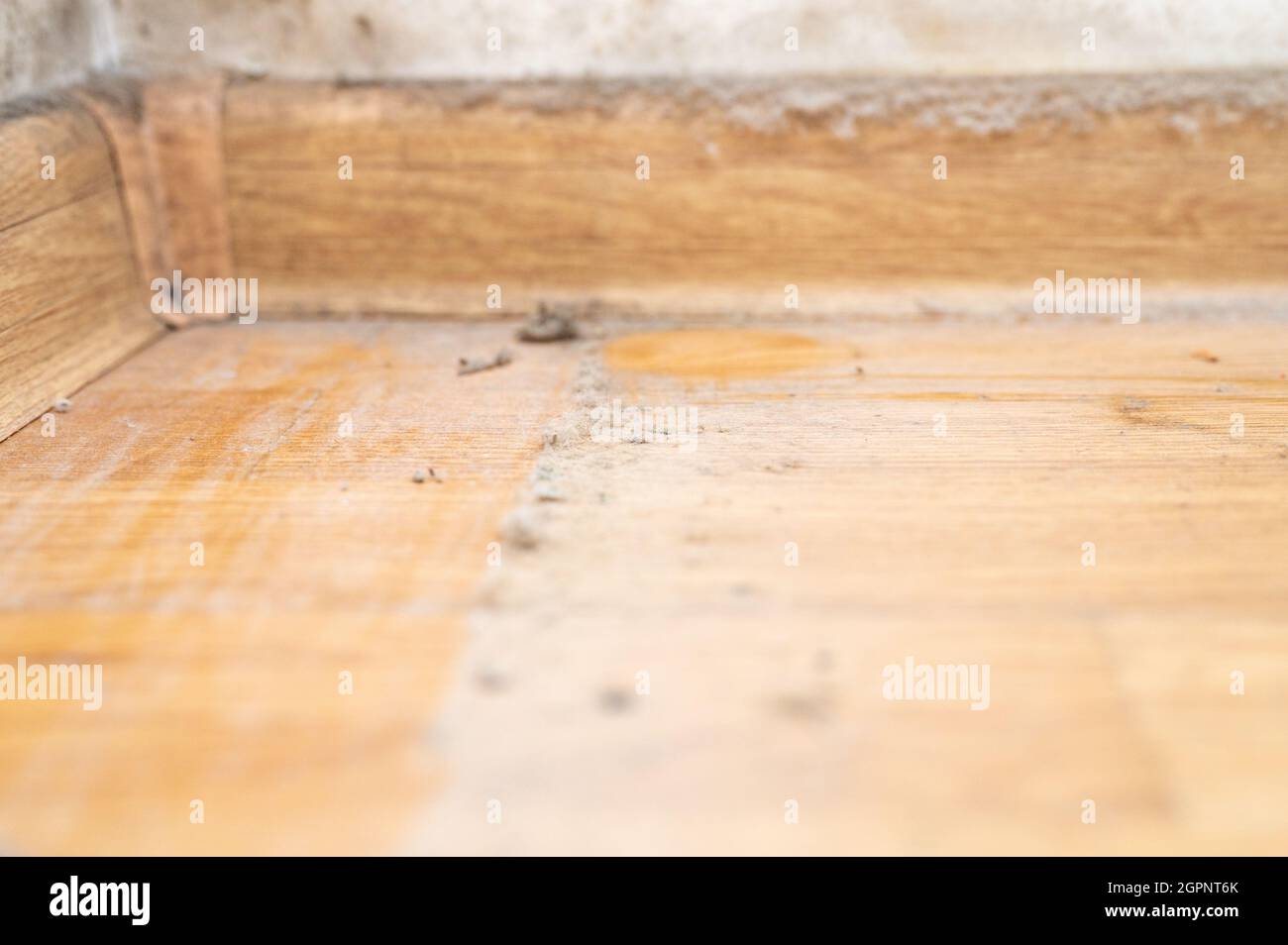 dust in the corner of the room. real old neglected dusty dirt, dirty ...