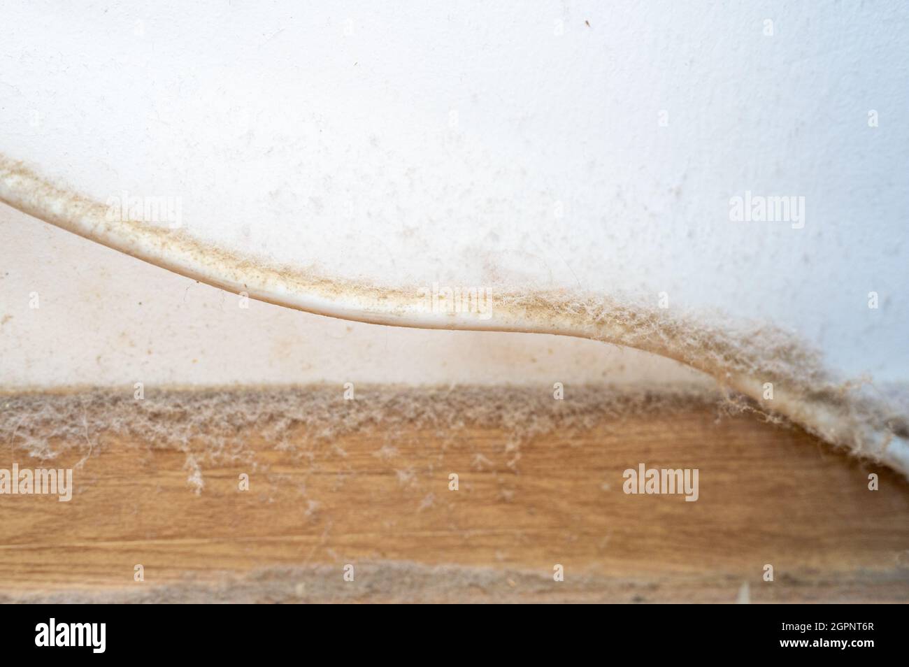 dirty dust on the electric wire in the room. real old neglected dusty ...