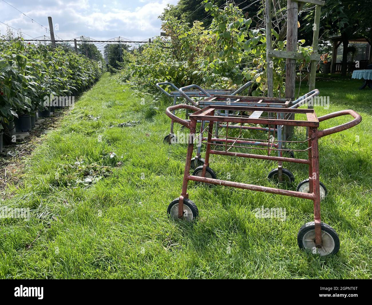 Trolleye hi-res stock photography and images - Alamy