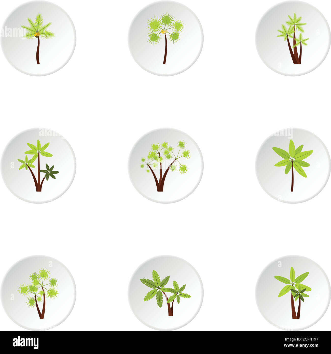 Types of palm icons set, flat style Stock Vector Image & Art - Alamy