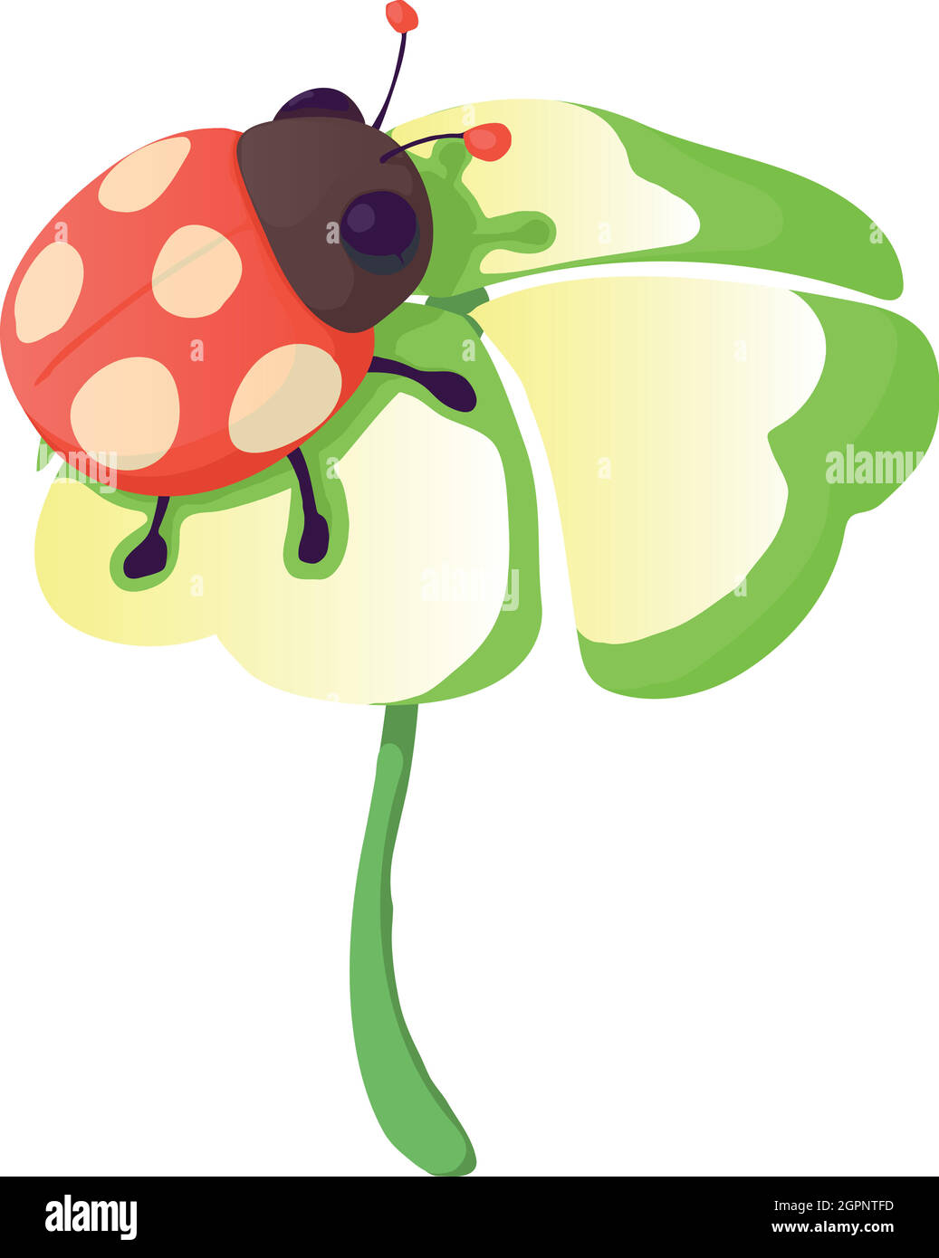 Cartoon ladybug hi-res stock photography and images - Alamy
