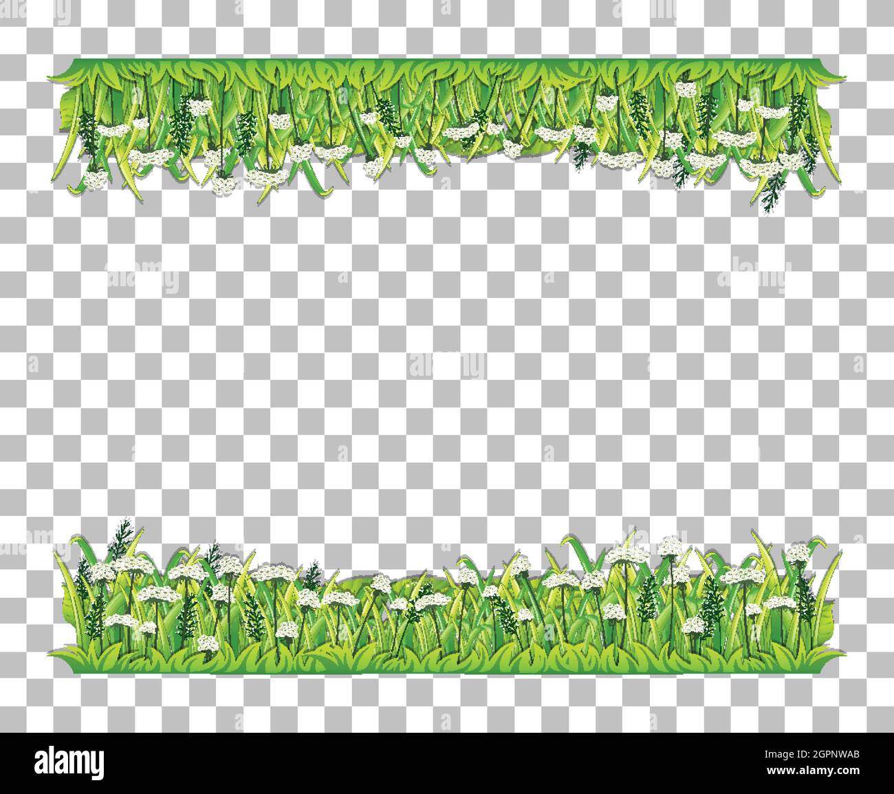 Nature plants frame transparent background illustration Stock Vector ...