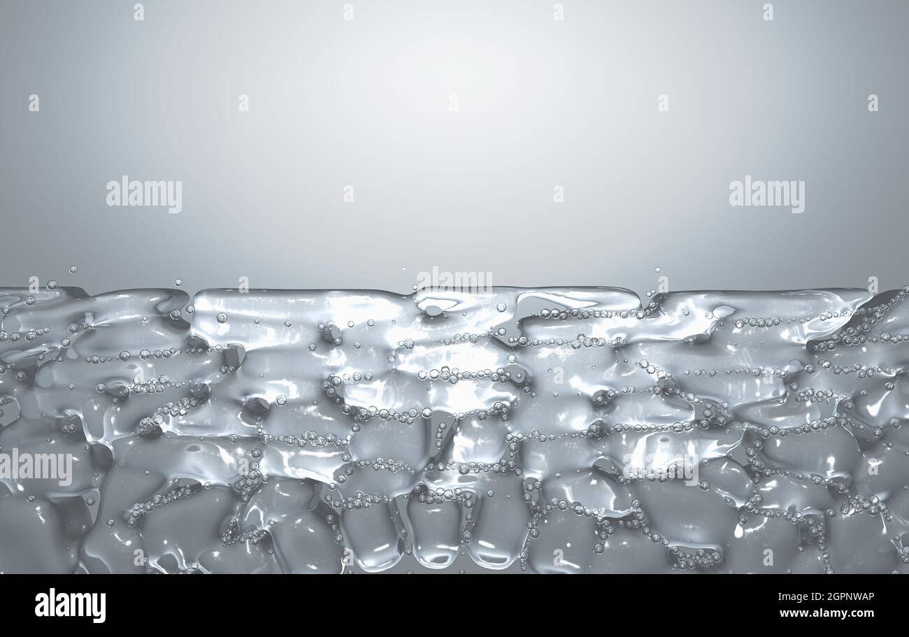 A cross section scientific view of eperdermis cells sub layer with ...
