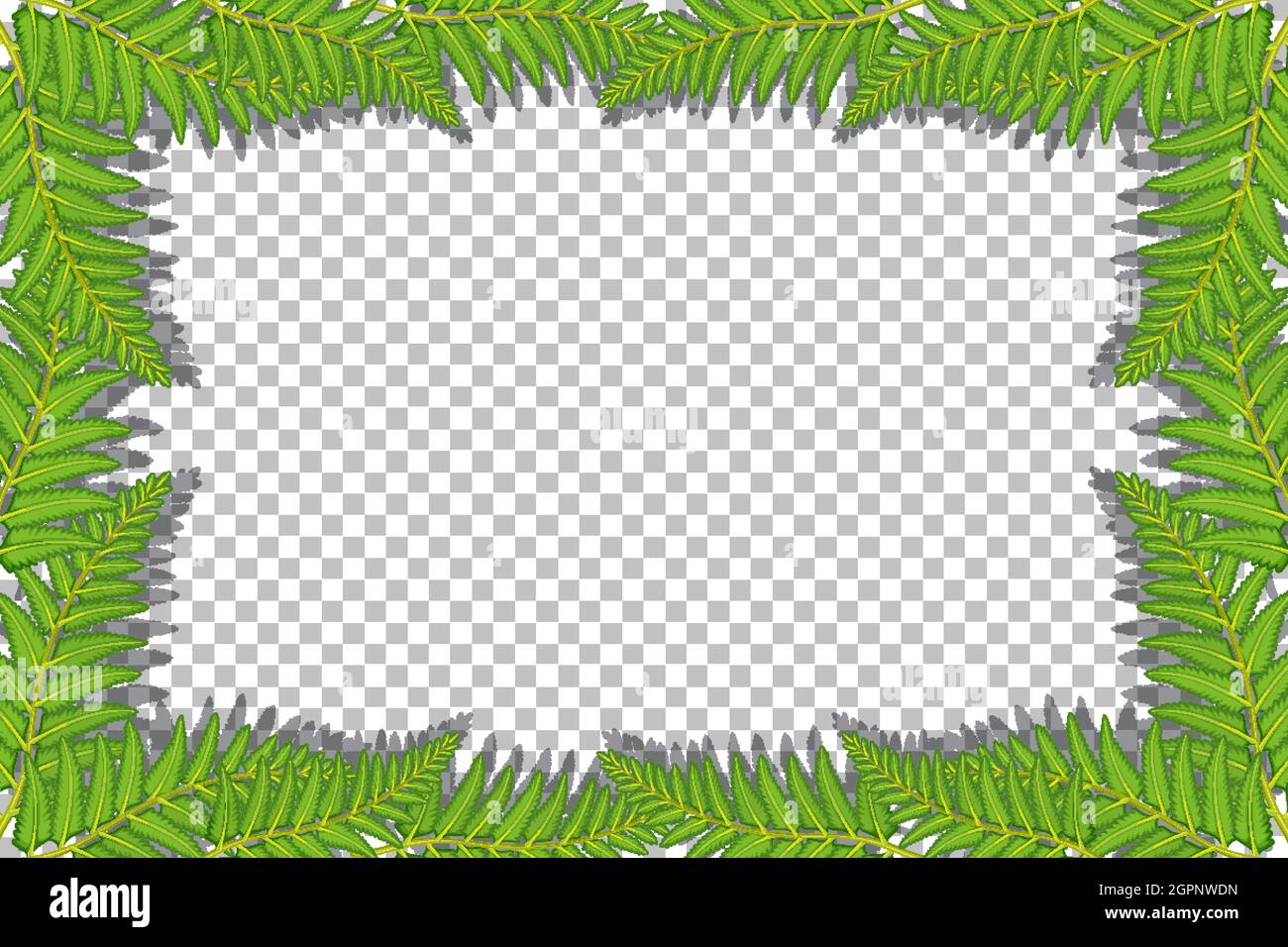 Nature plants frame transparent background illustration Stock Vector ...