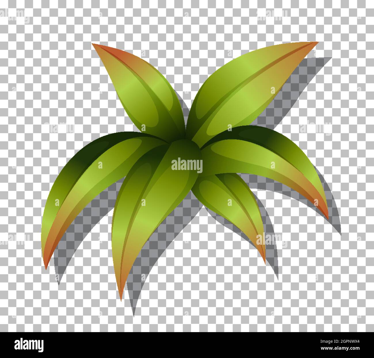 Tropical plant on transparent background illustration Stock Vector ...