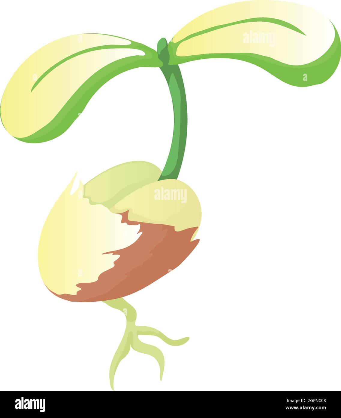 Sprout grass Stock Vector Images - Alamy