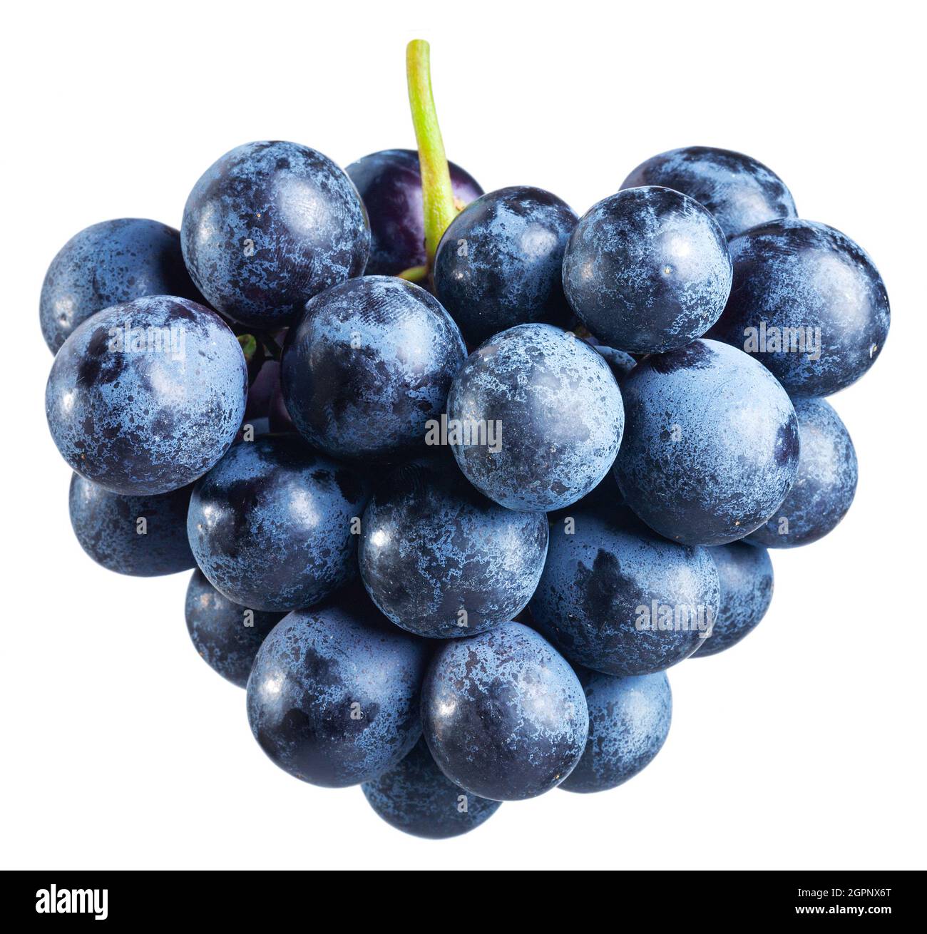 Bunch of blue grapes isolated on a white background Stock Photo - Alamy
