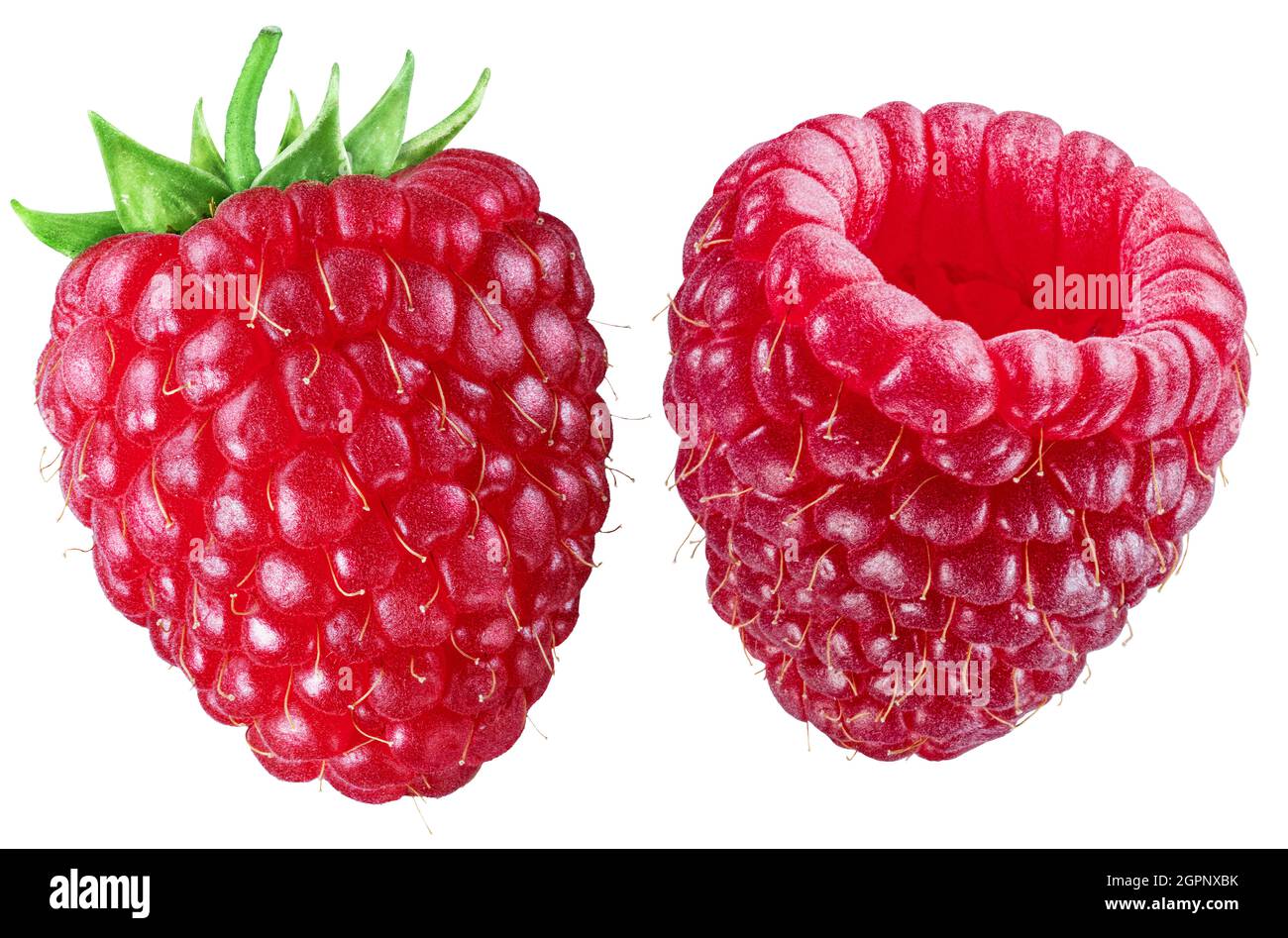 Two perfect red-fruited raspberries on white background. File contains ...