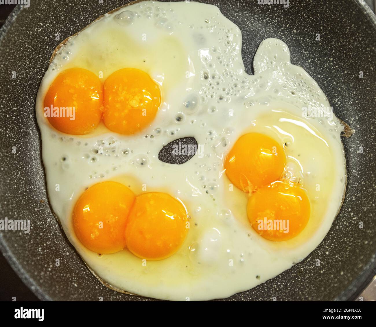 Lay out eggs hi-res stock photography and images - Alamy