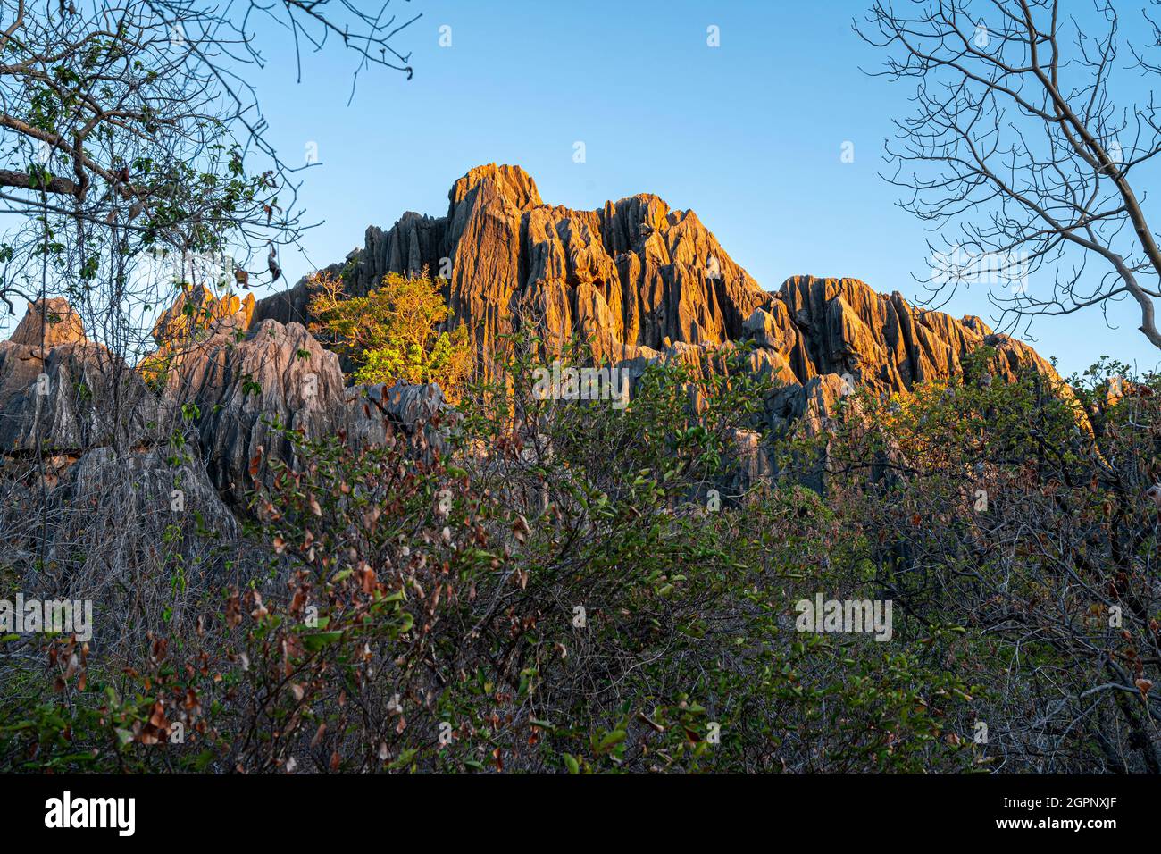Limestone outcrop at Chillagoe-Mungana Caves National park, North ...