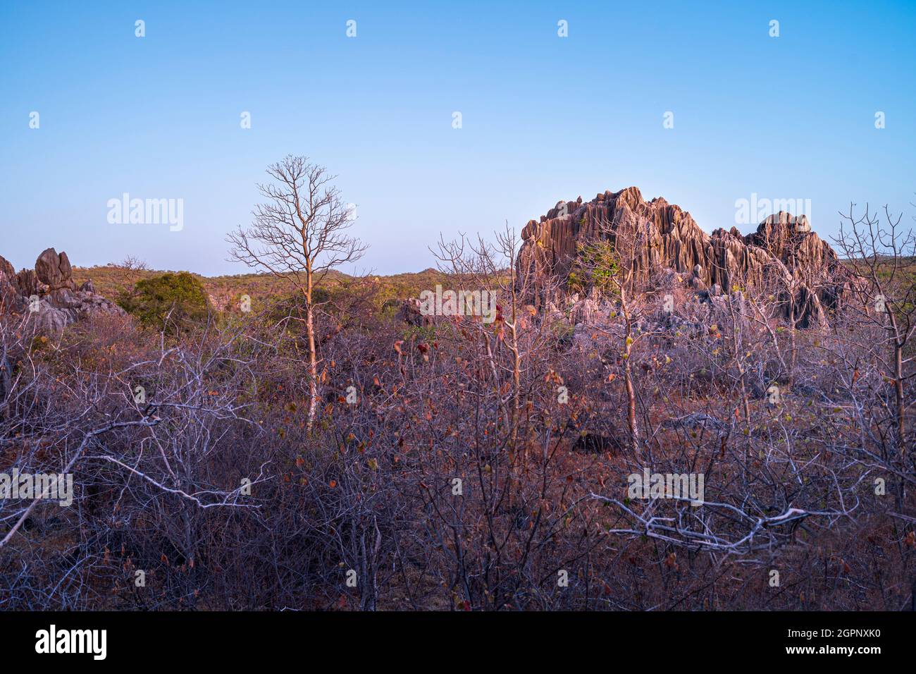 Limestone outcrop at Chillagoe-Mungana Caves National park, North ...