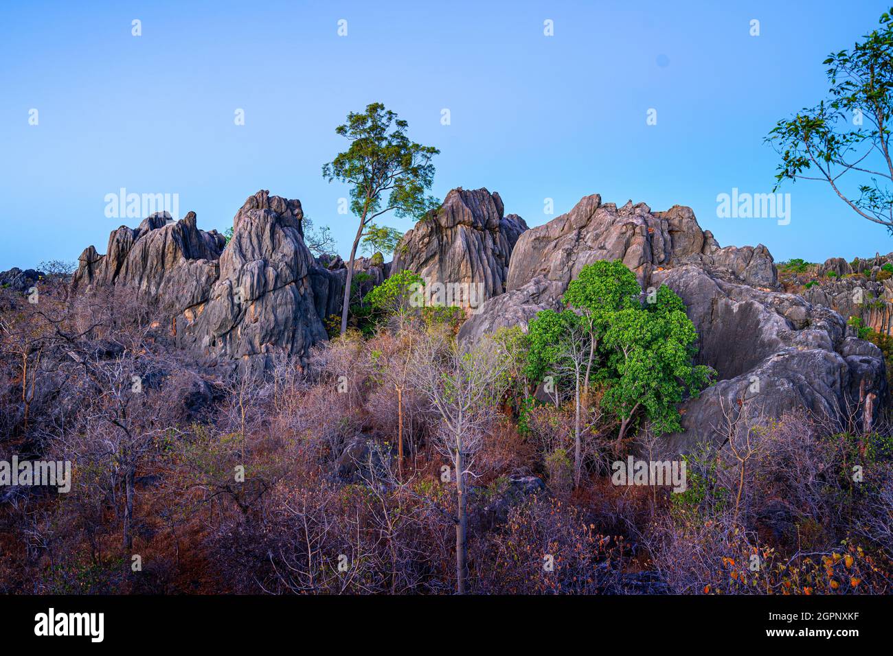 Limestone outcrop at Chillagoe-Mungana Caves National park, North ...