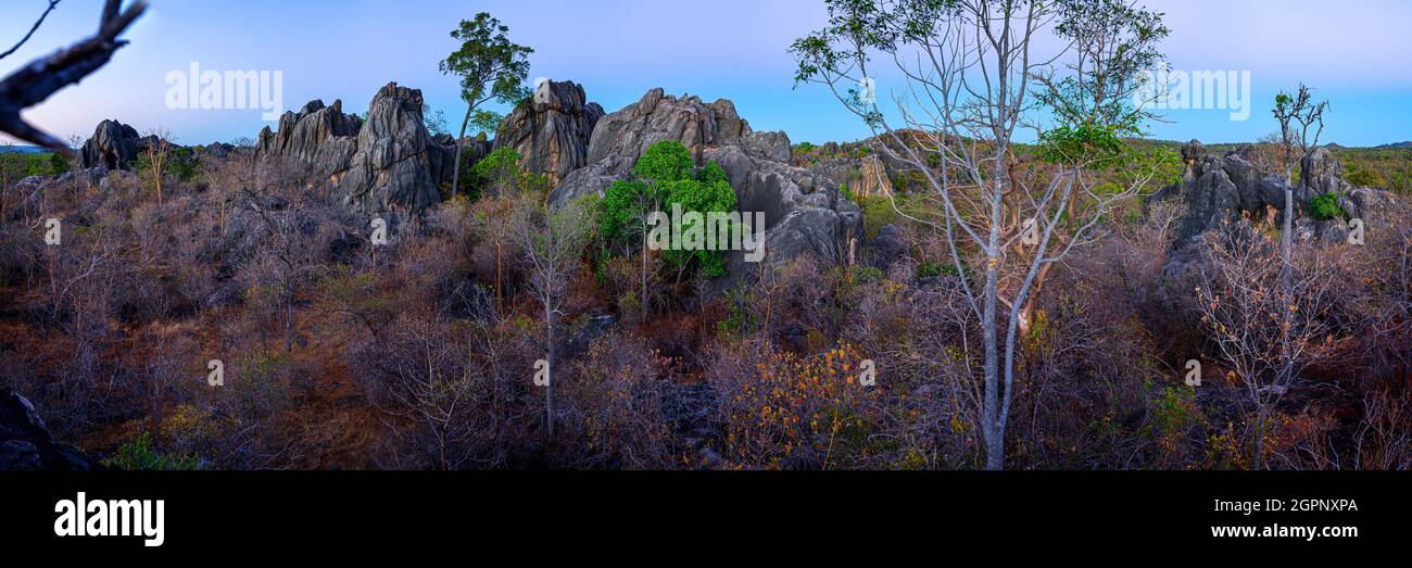 Limestone outcrop at Chillagoe-Mungana Caves National park, North ...
