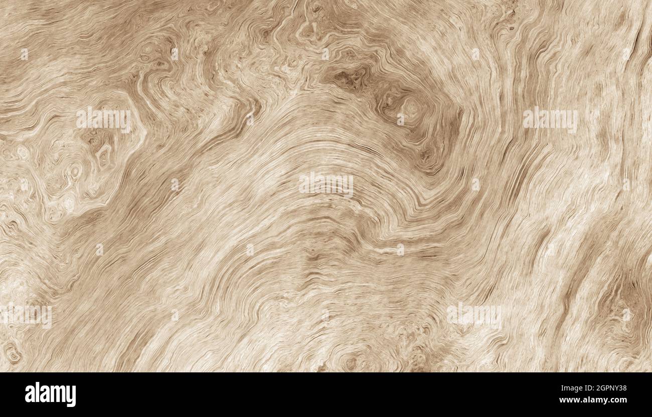 Texture of the wood rings. Abstract background. 2d illustration Stock ...