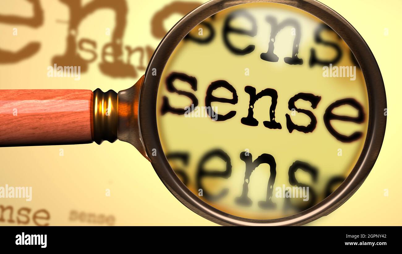 Sense - abstract concept and a magnifying glass enlarging English word ...