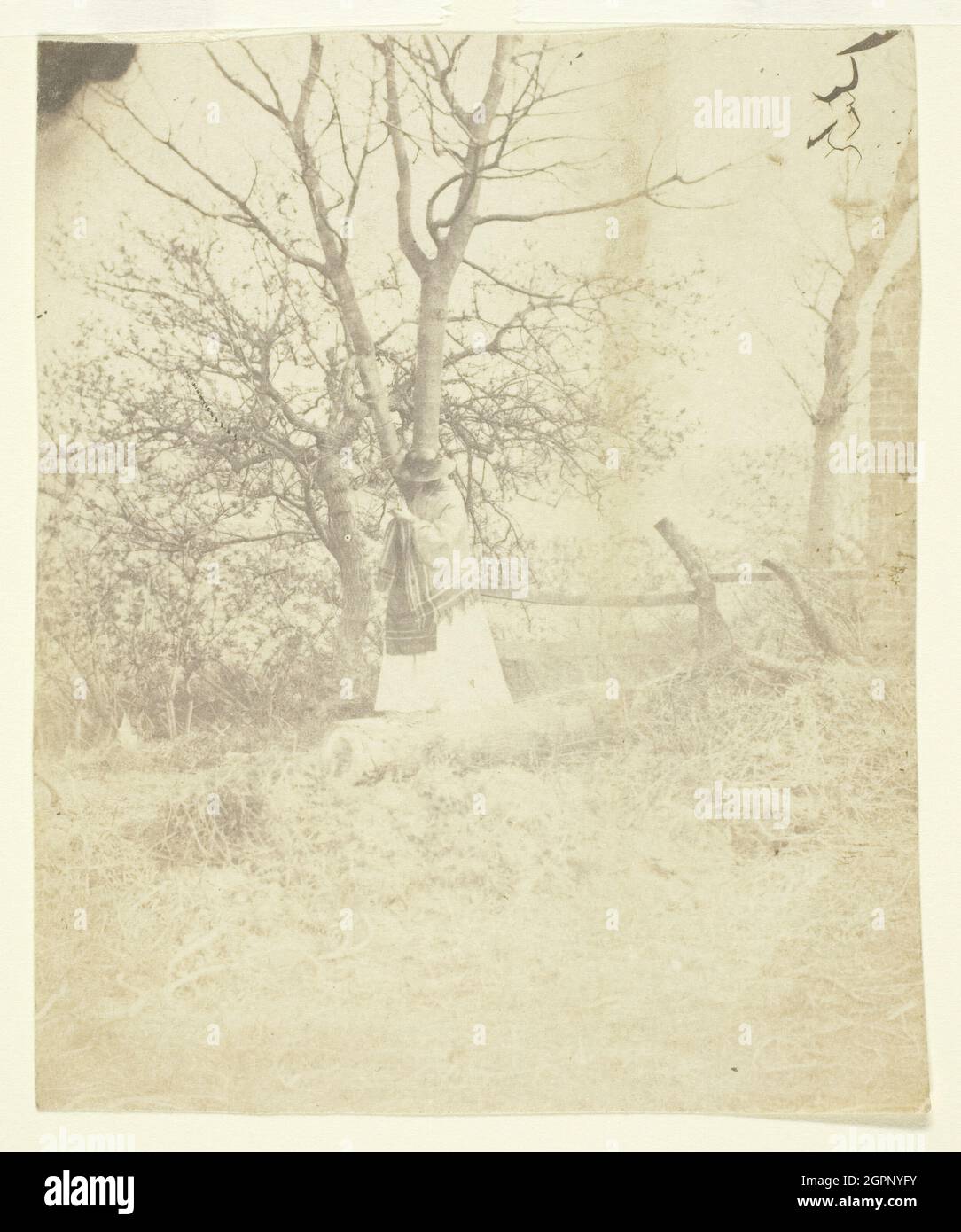 Mrs. Craik, 1850/59. [British novelist and poet Dinah Mulock Craik ...