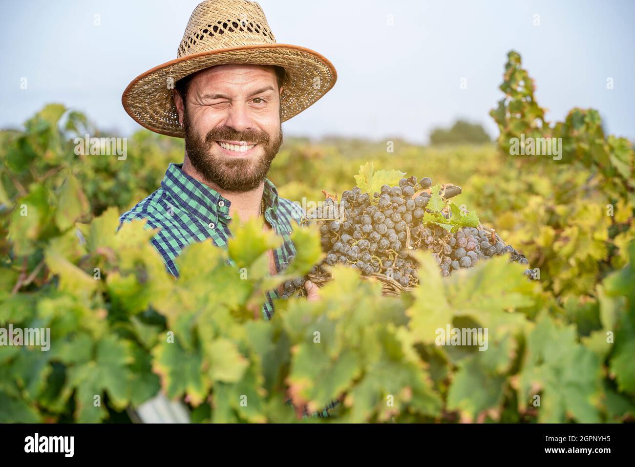 Winking Plant High Resolution Stock Photography and Images - Alamy