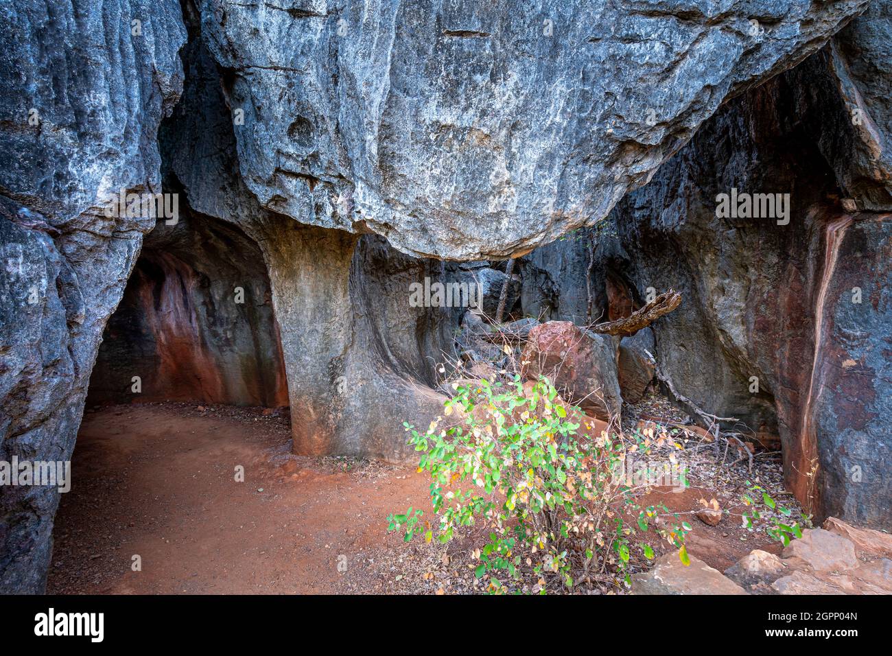 Cavern at the Archways, a semi-open cave system at Chillagoe-Mungana ...