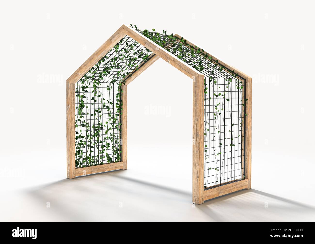 A concept of a wooden archway with metal trellis and a creeper plant ...