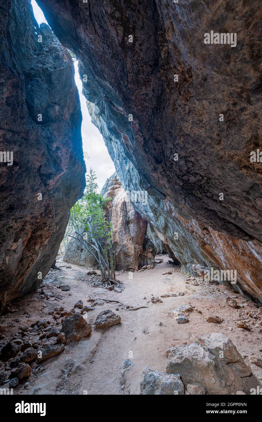Cavern at the Archways, a semi-open cave system at Chillagoe-Mungana ...
