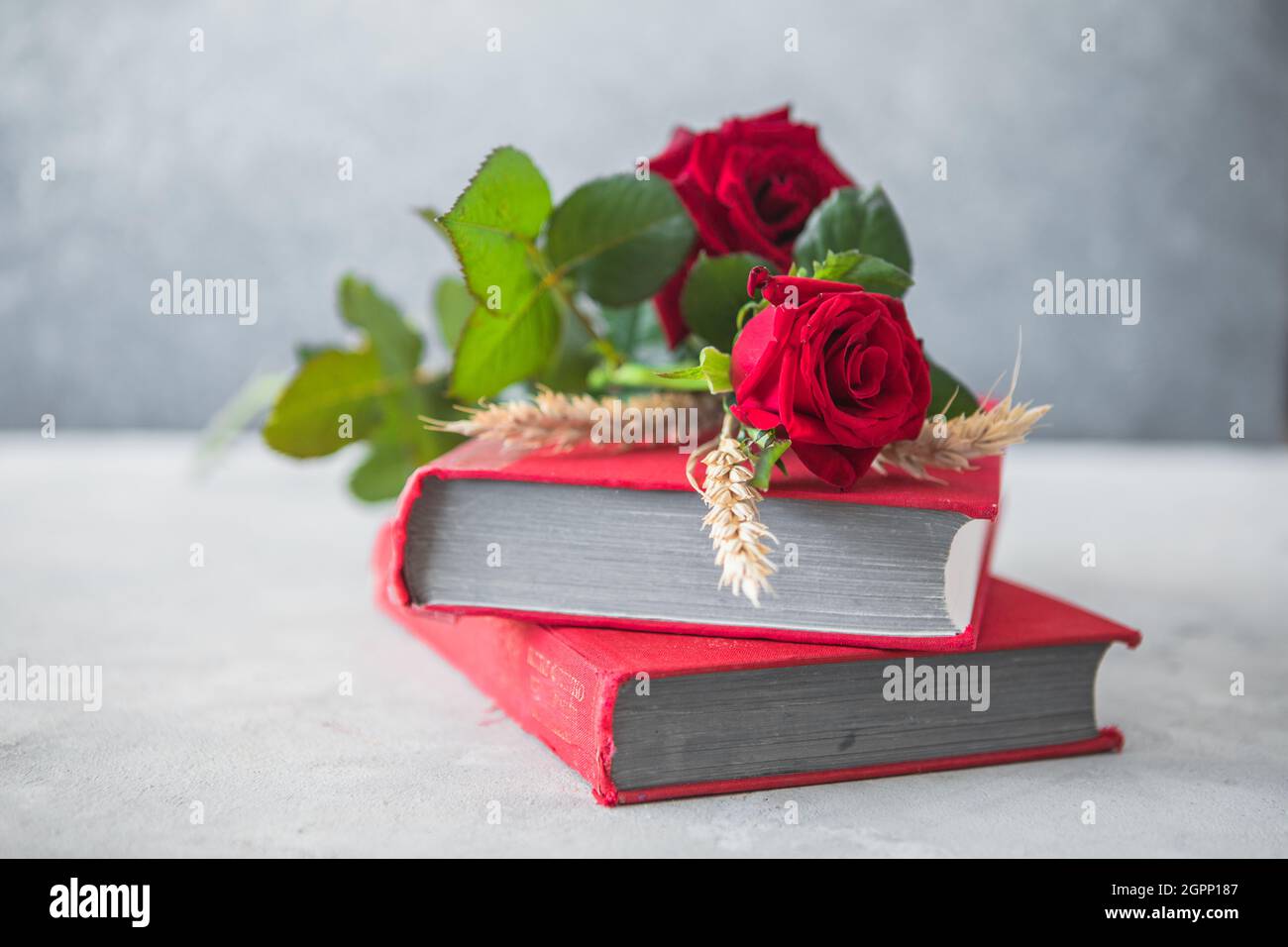 Sant Jordi, the Catalan name for Saint George Day, when it is tradition ...