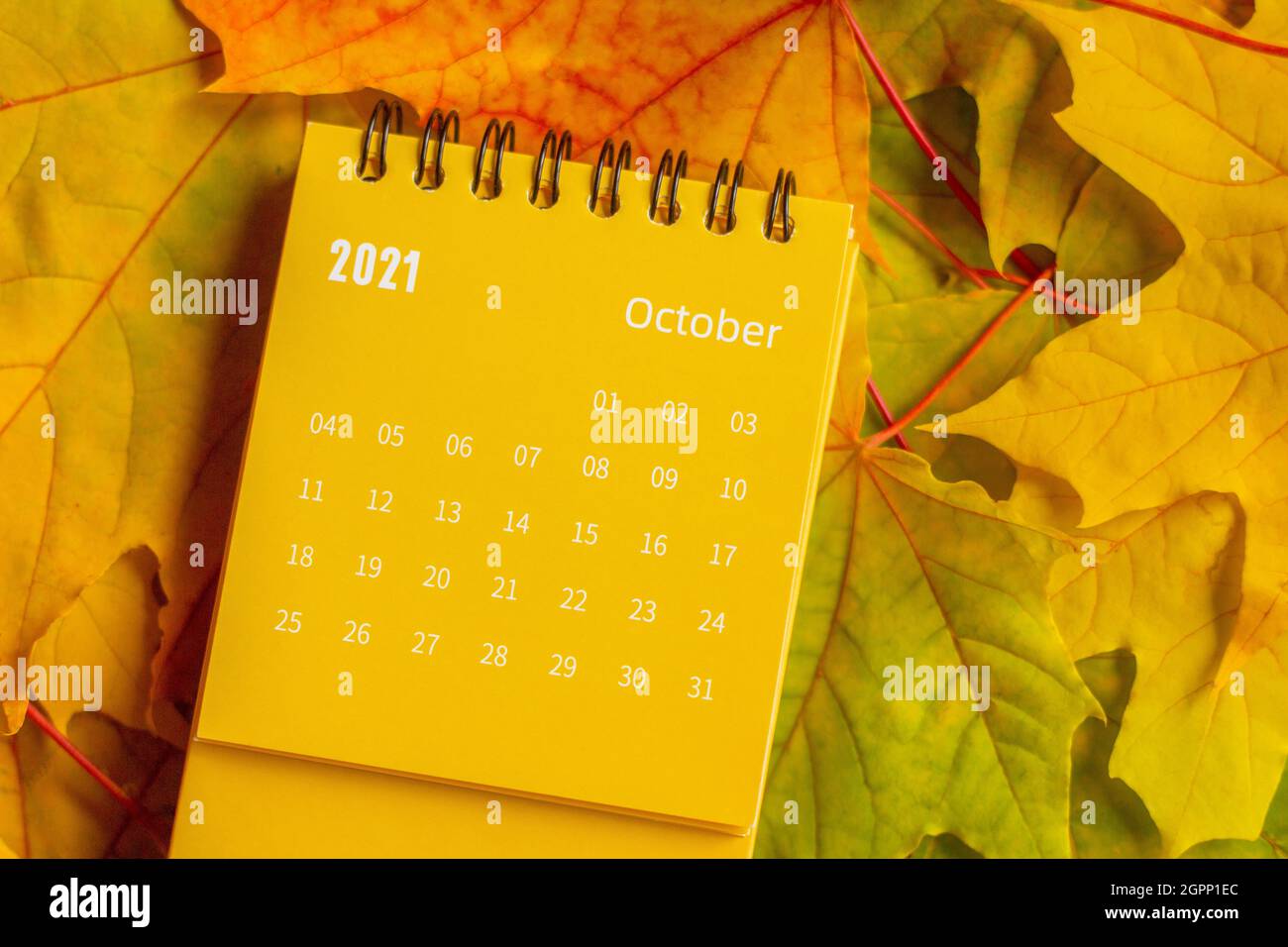 A tear-off calendar for October 2021 and an autumn bouquet of bright ...