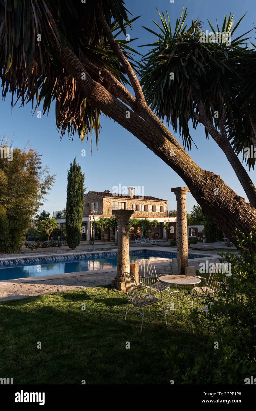 Palm trees and pillars with swimming pool in garden of Spanish villa ...