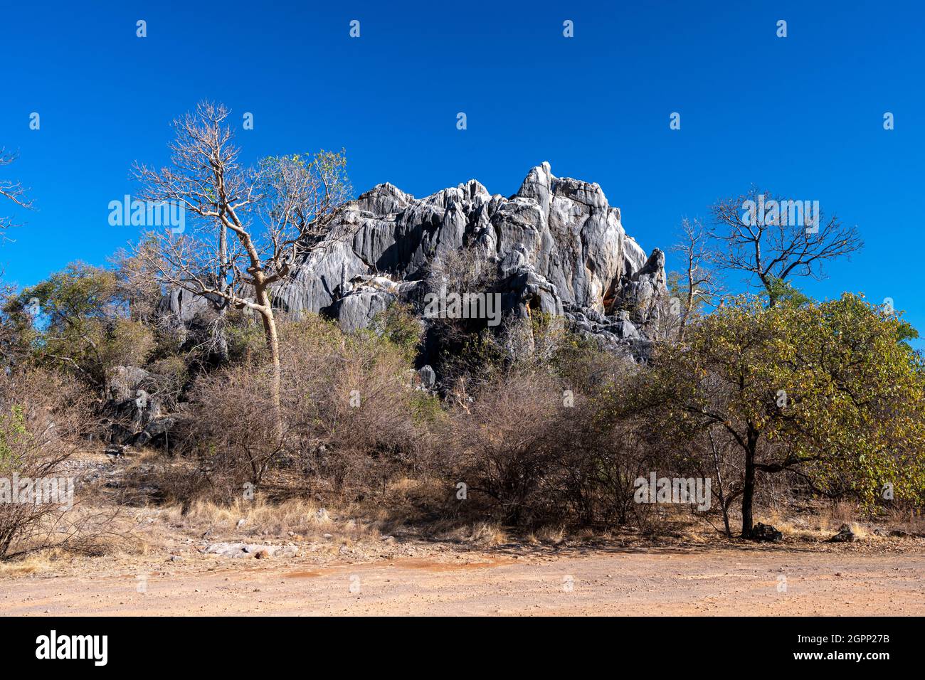 Limestone outcrop at Chillagoe-Mungana Caves National park, North ...
