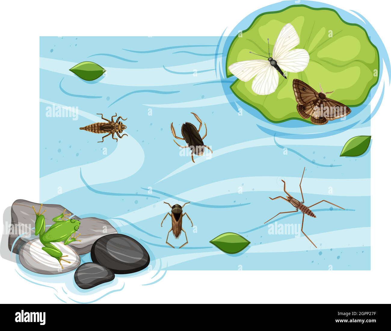 Aquatic life pond Cut Out Stock Images & Pictures - Alamy