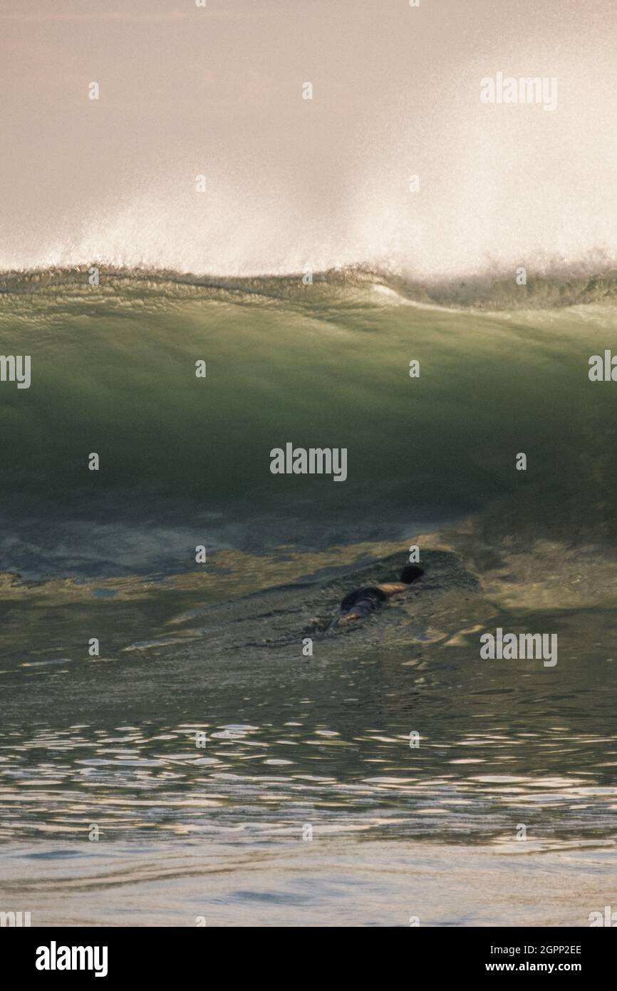 surf perfect spot barrel Stock Photo - Alamy