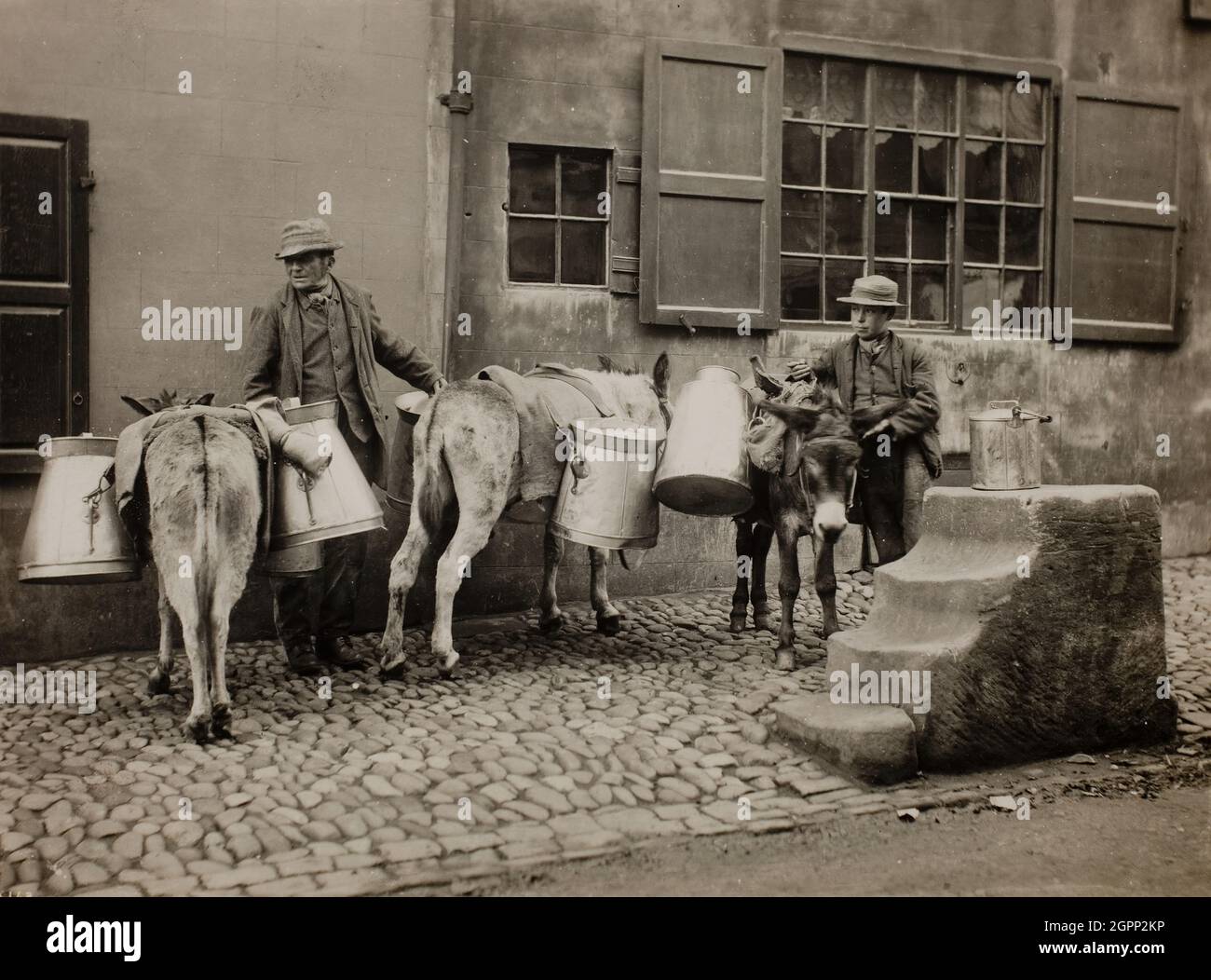 Milk Donkeys, c. 1890. Platinum print Stock Photo - Alamy