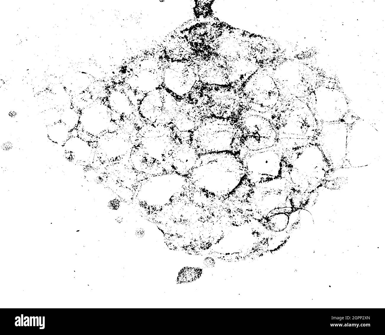 Texture old vintage heavy Stock Vector Images - Alamy