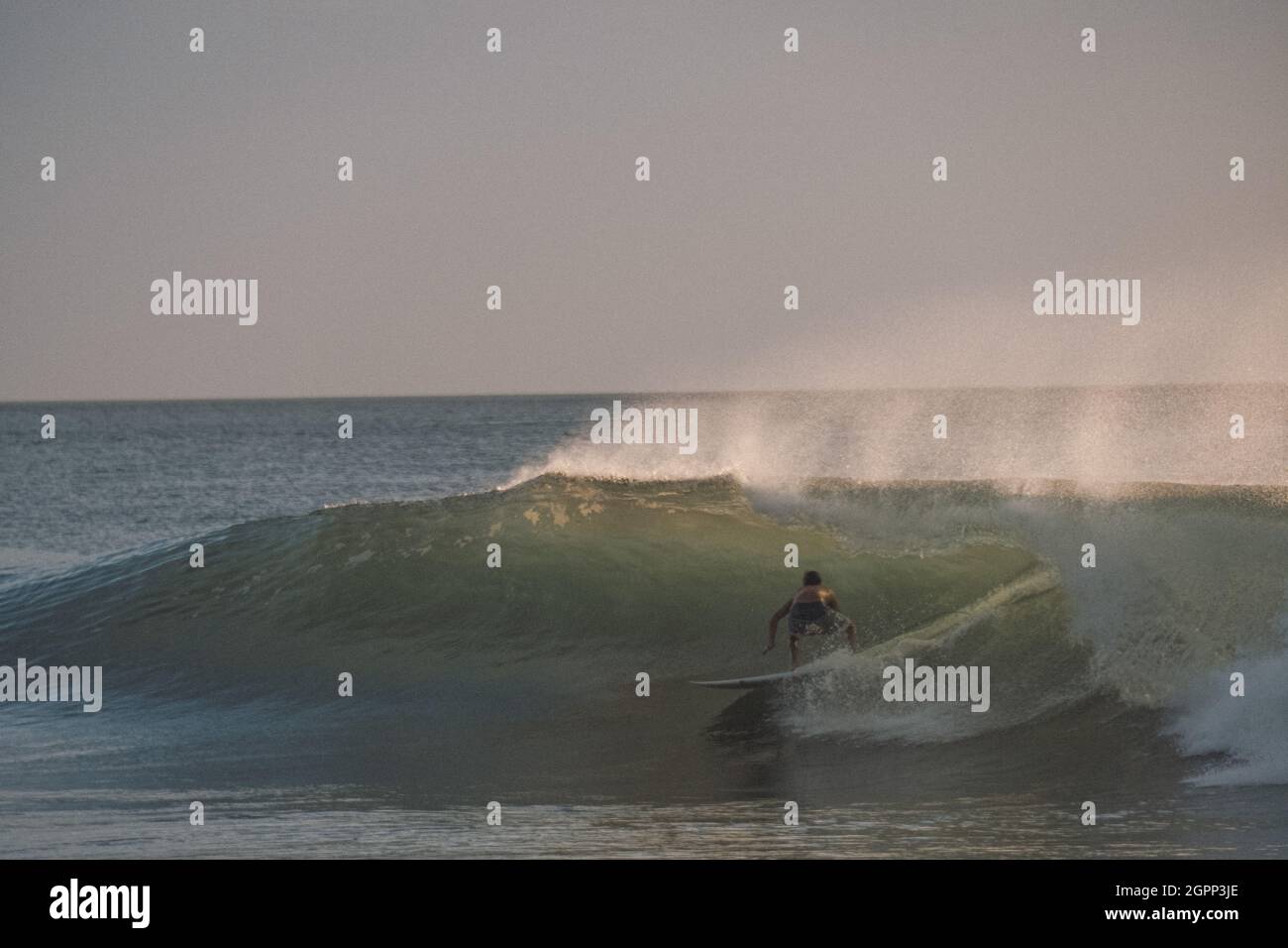 surf perfect spot barrel Stock Photo - Alamy