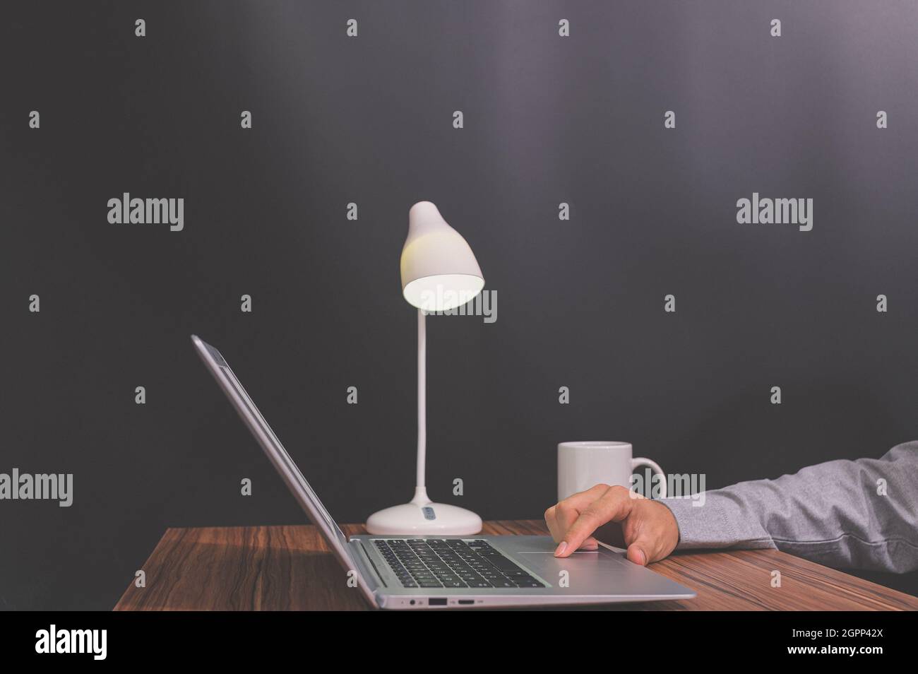 Business people use notebook computers for work Stock Photo - Alamy