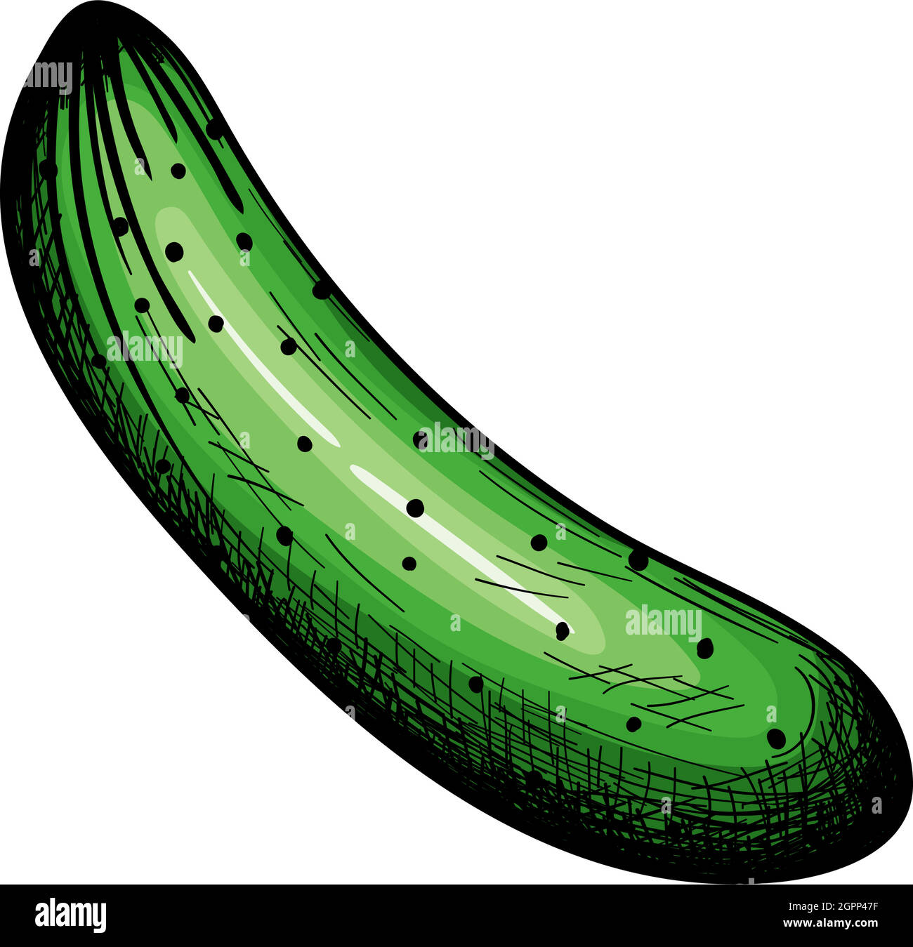 Cucumber plant Stock Vector Images - Alamy