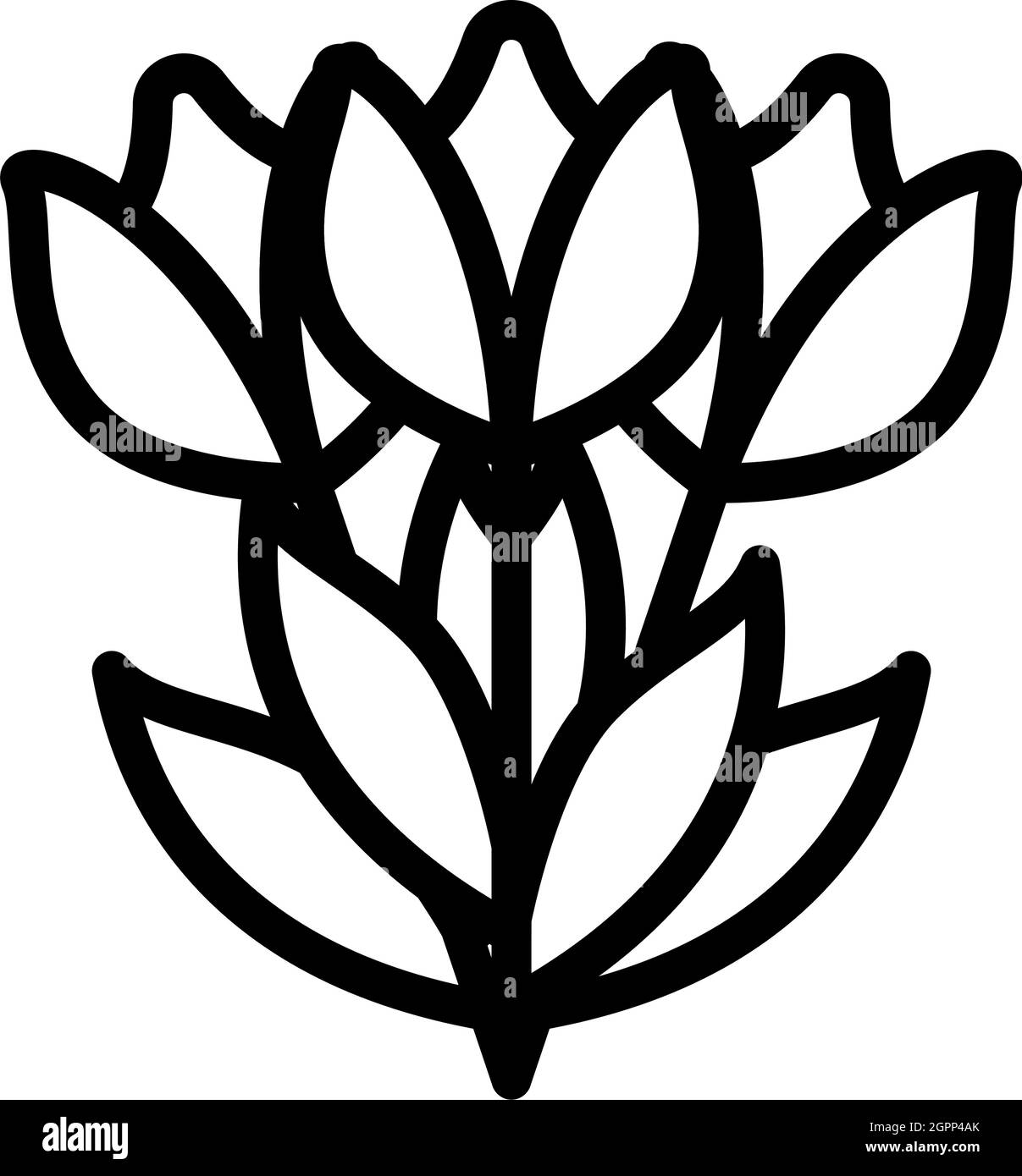 Tulip bow Black and White Stock Photos & Images - Alamy