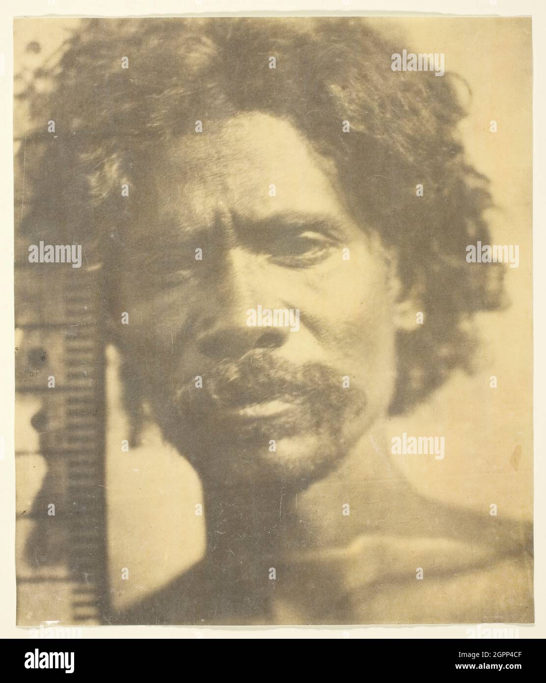 Kuruba Man, 1873. [Portrait of a man of the Kuruba people, a Hindu caste native to Karnataka ...